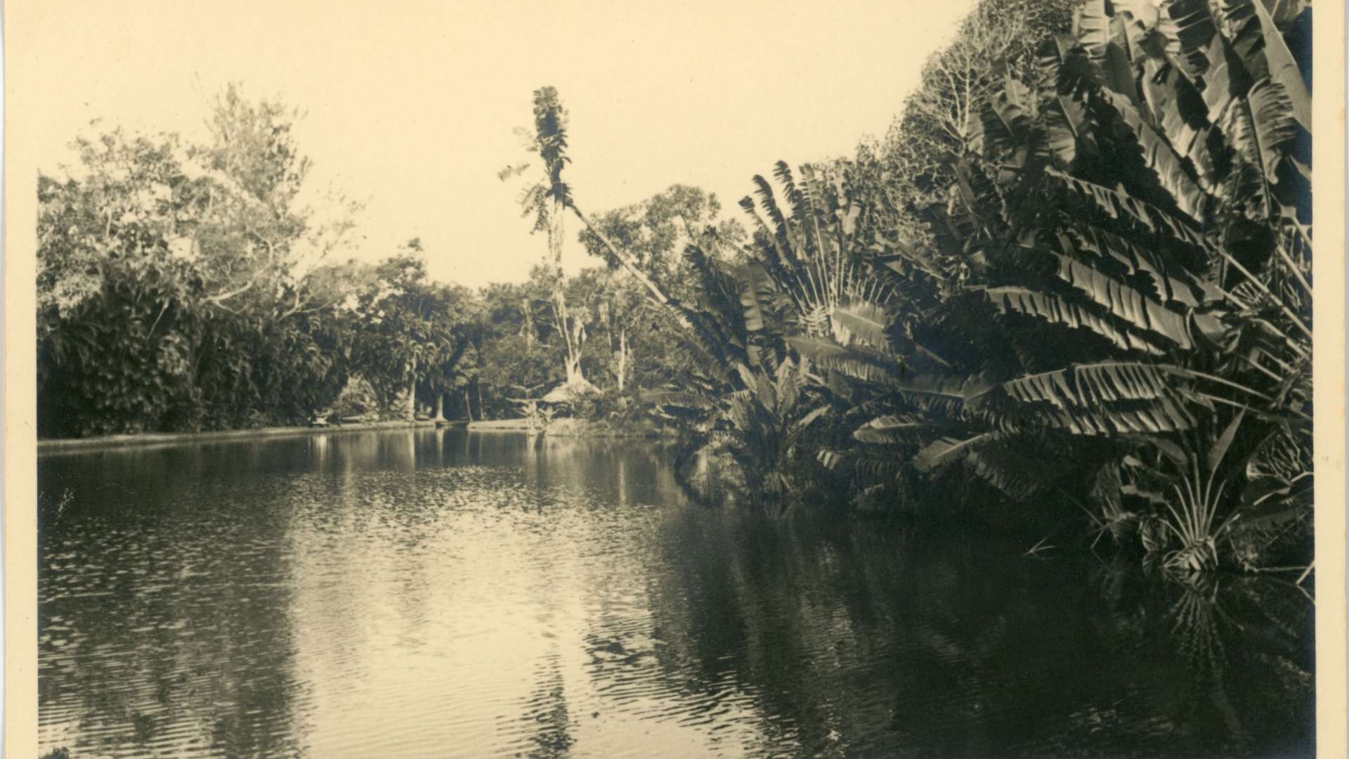 Rencontres créoles | Kiltir